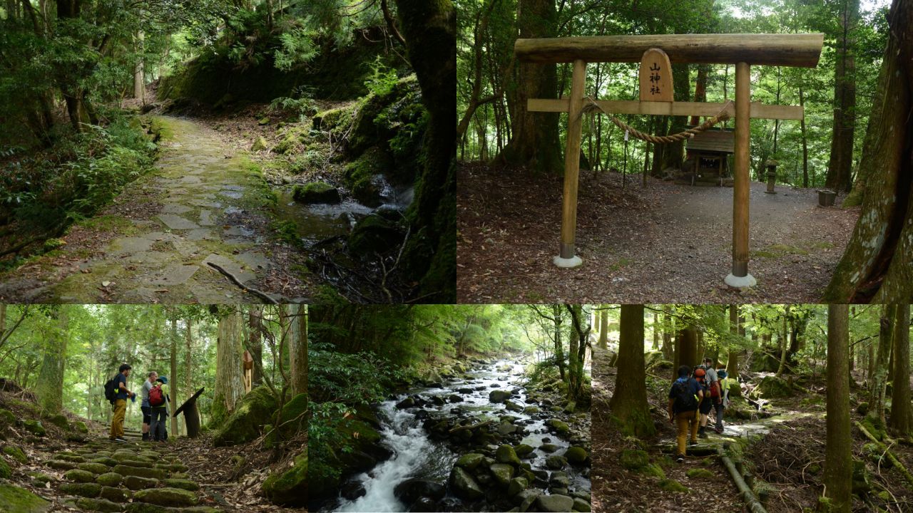 伊豆ハイキング特集 第1弾～踊子歩道～ | 特集 | 伊豆観光公式サイト 美伊豆 B-Izu