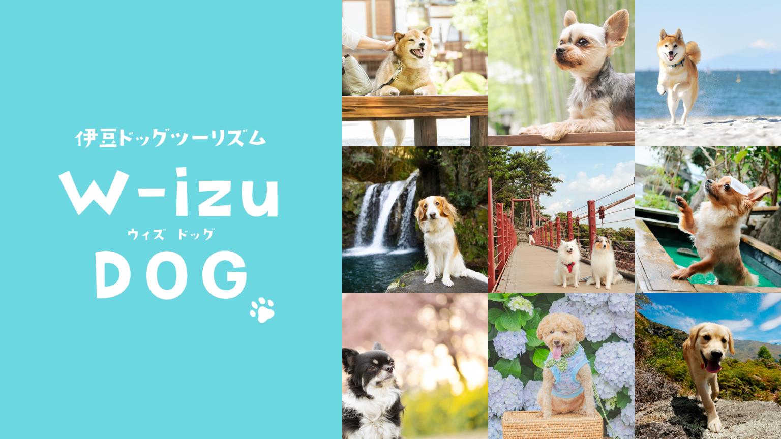 ペットツーリズム特設サイト「W-Izu DOG（ウィズドッグ）」公開！ | ニュース | 伊豆観光公式サイト 美伊豆 B-Izu